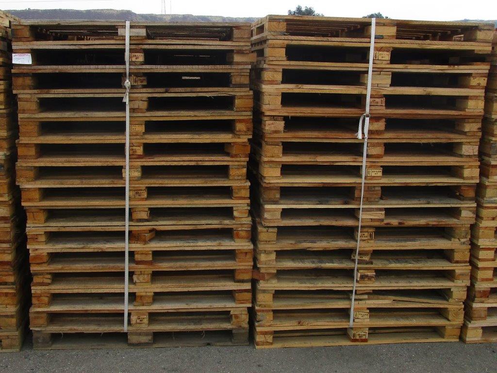 RYNCOR | Auctioneers | Home